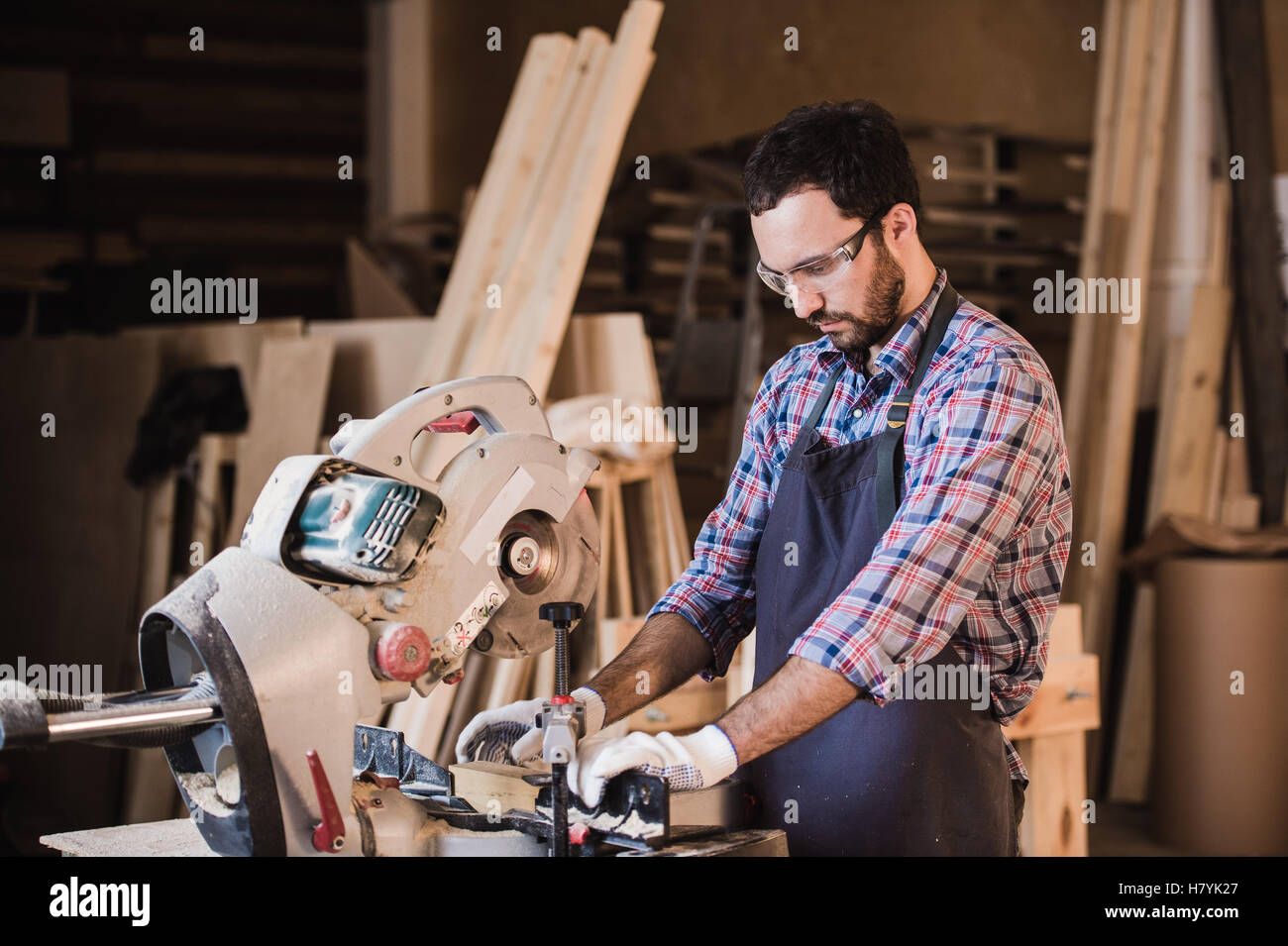 Framing contractor using a circular cut off saw to trim wood studs ...
