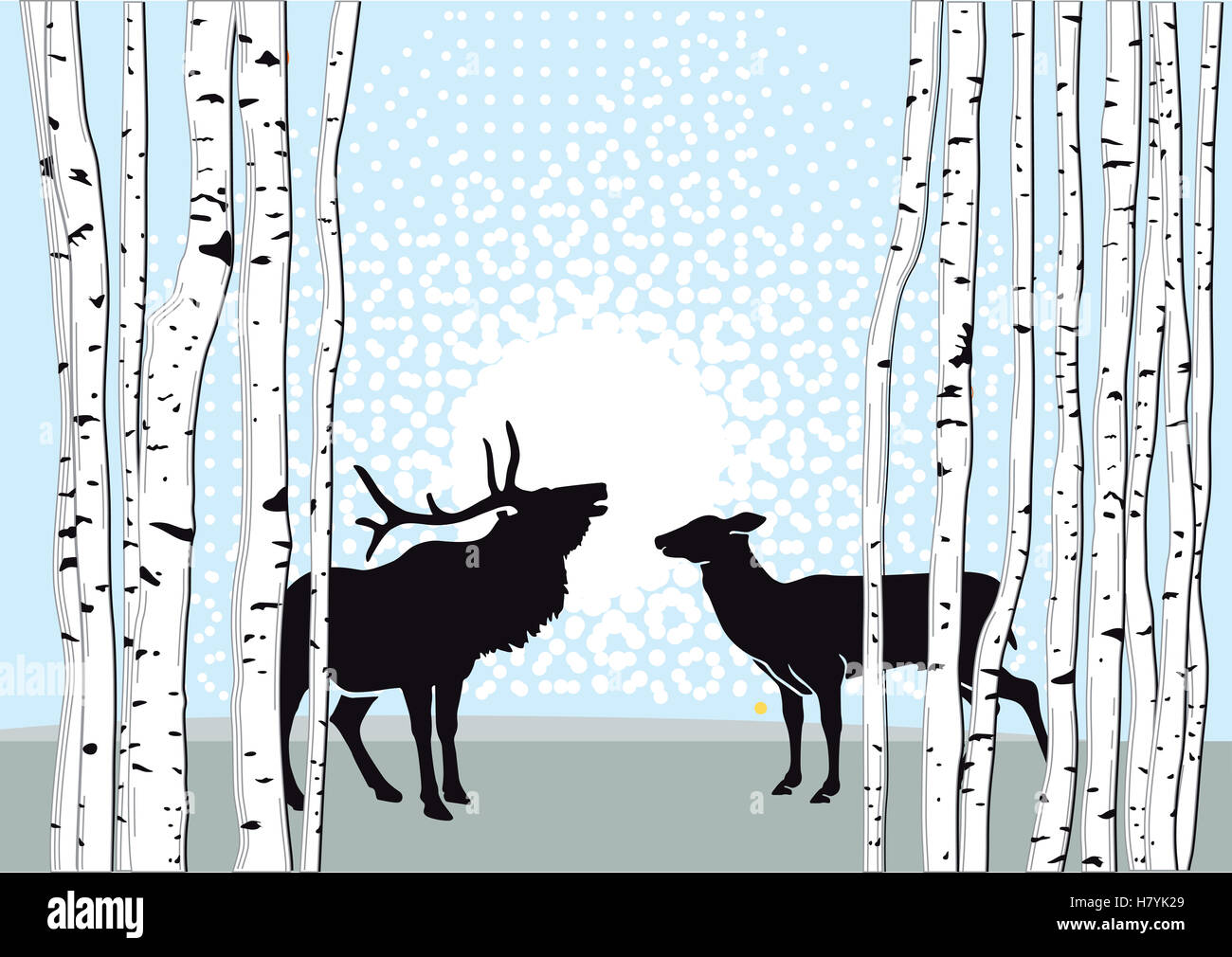 Deer and Doe in Forest Stock Photo - Alamy