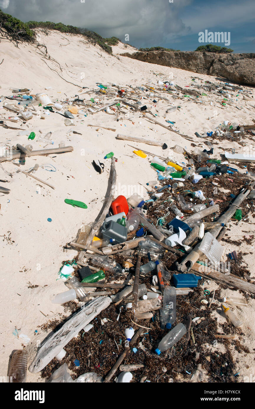Trash washed up on beach from ocean, Washington Slagbaai National Park ...