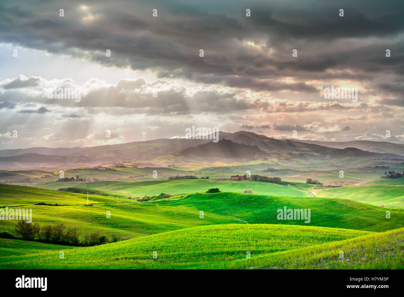 Tuscany, rural sunset landscape. Countryside farm, cypresses trees ...