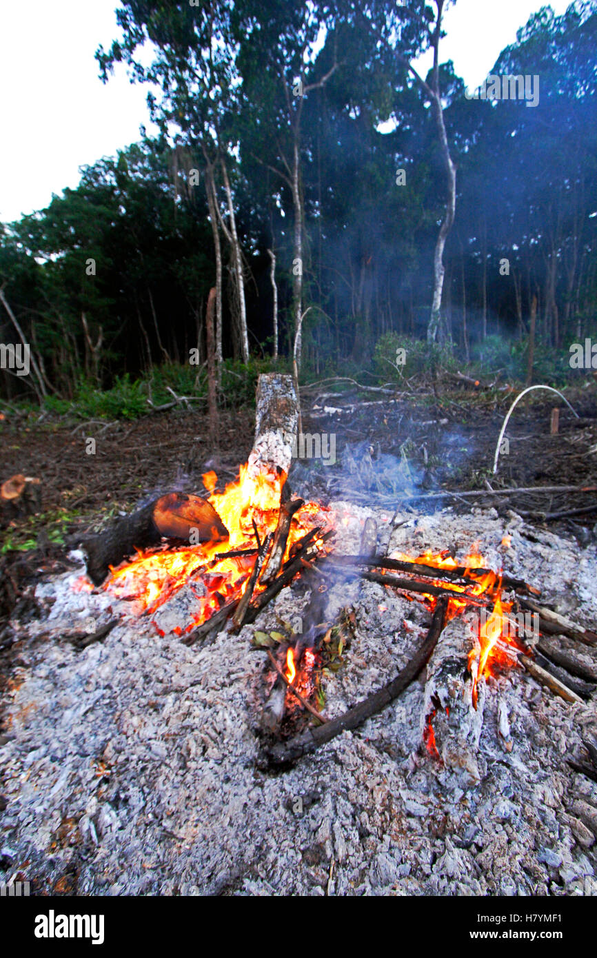 Old mangle hi-res stock photography and images - Alamy