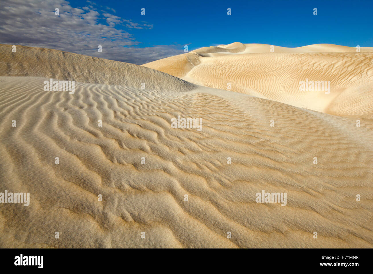 Sand dunes sculpted by wind, Cactus Beach, South Australia, Australia ...