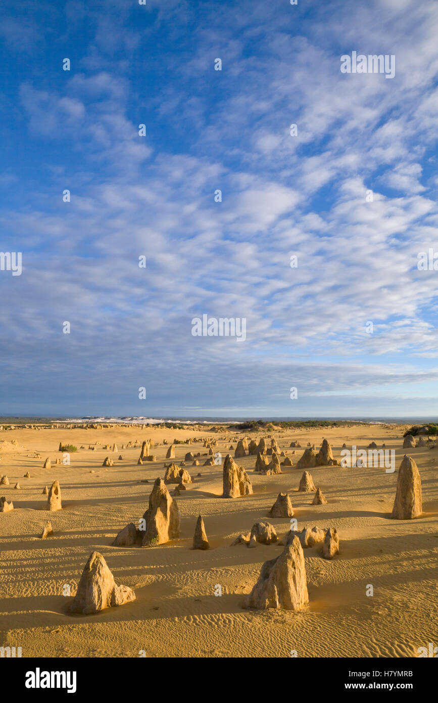 Eroded limestone pinnacles, Nambung National Park, Western Australia ...