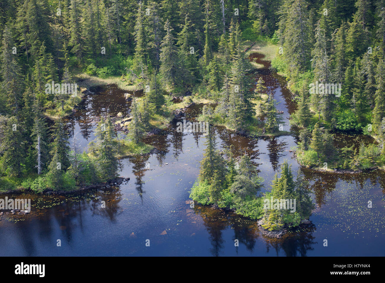 Lake and taiga, Tongass National Forest, Yakutat, Alaska Stock Photo ...