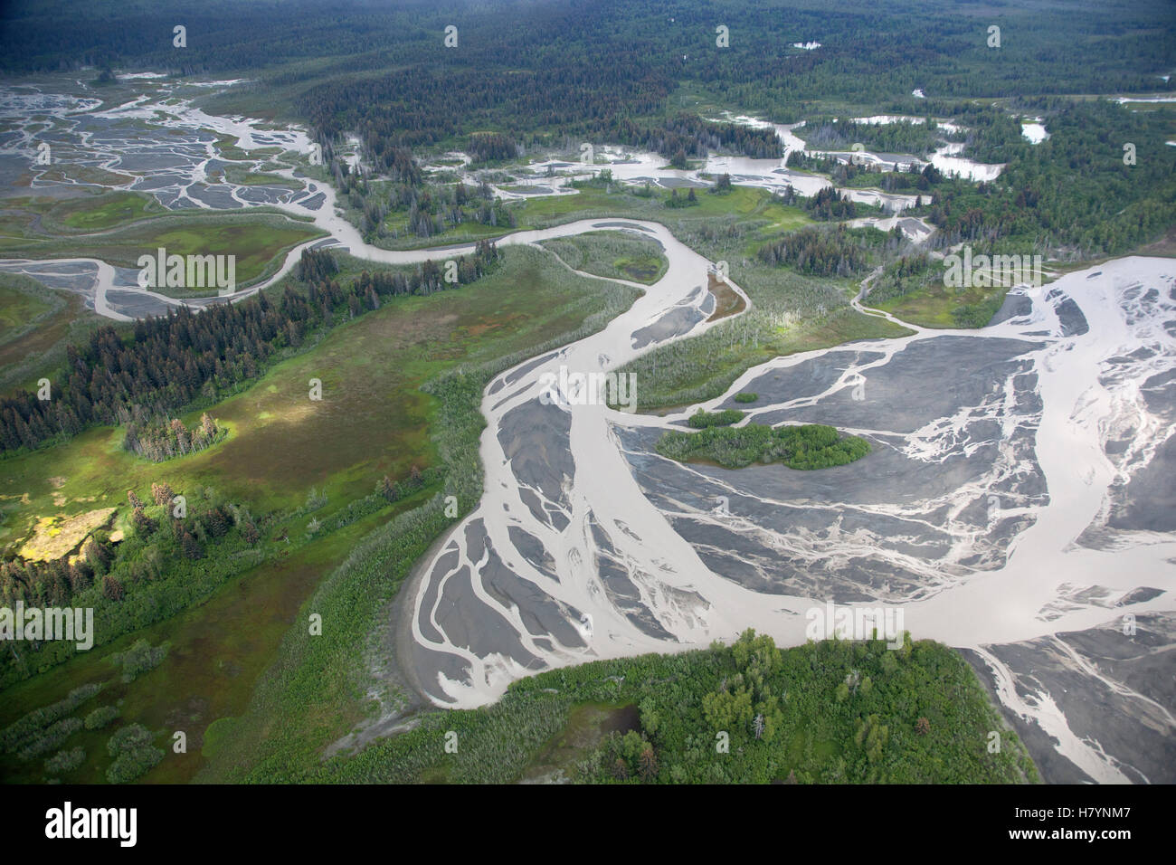 Kwik Stream in taiga, Wrangell-St. Elias National Park, Alaska Stock ...