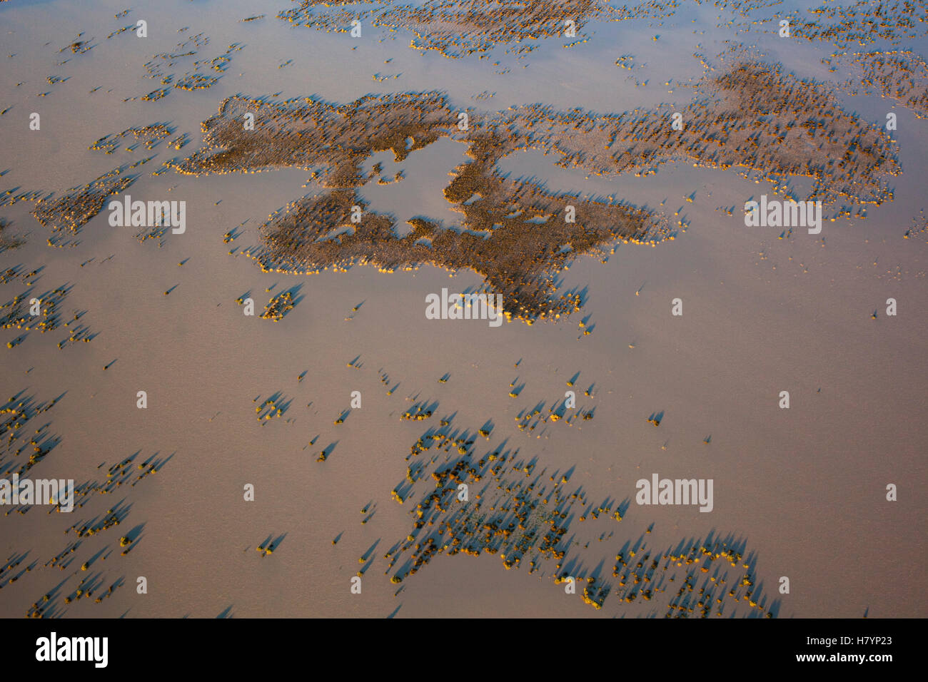 Flooded Simpson Desert after heavy rains, Queensland, Australia Stock ...