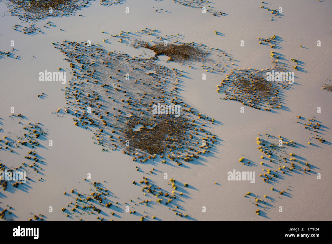 Flooded Simpson Desert after heavy rains, Queensland, Australia Stock ...