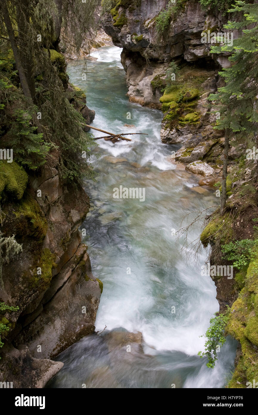 Yoho River flowing through chasm, Yoho National Park, British Columbia ...