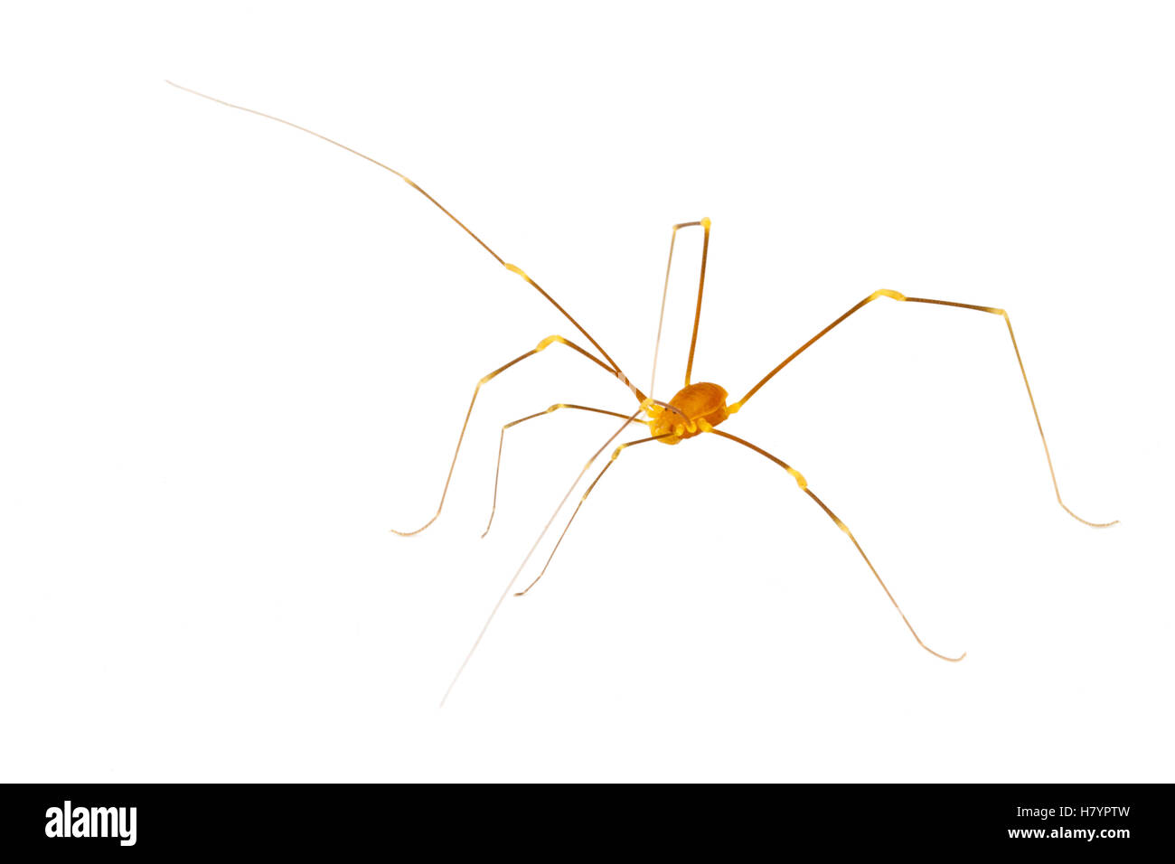 Biological station Cut Out Stock Images & Pictures - Alamy