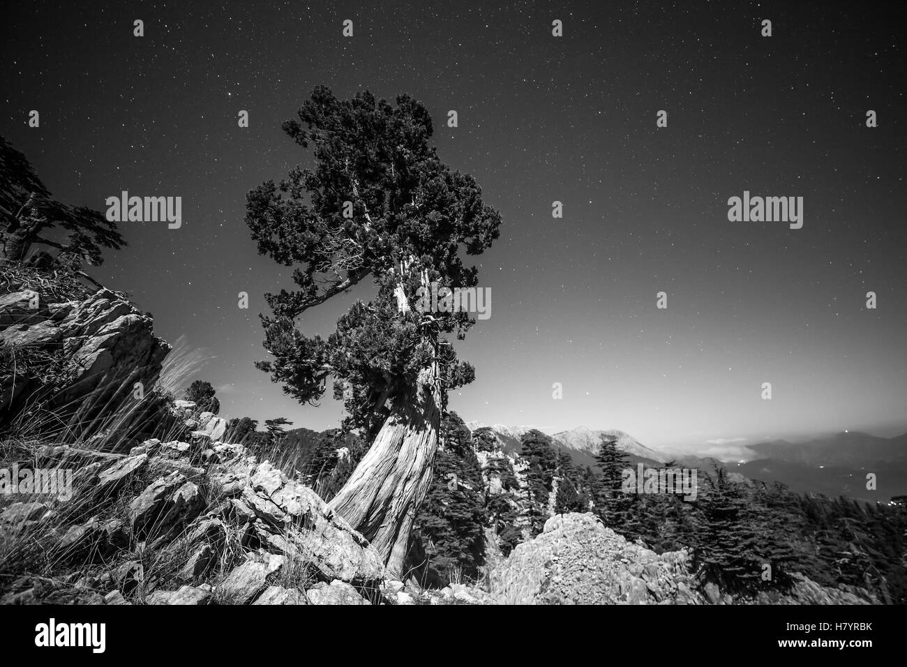 Starry sky shooting star Black and White Stock Photos & Images - Alamy