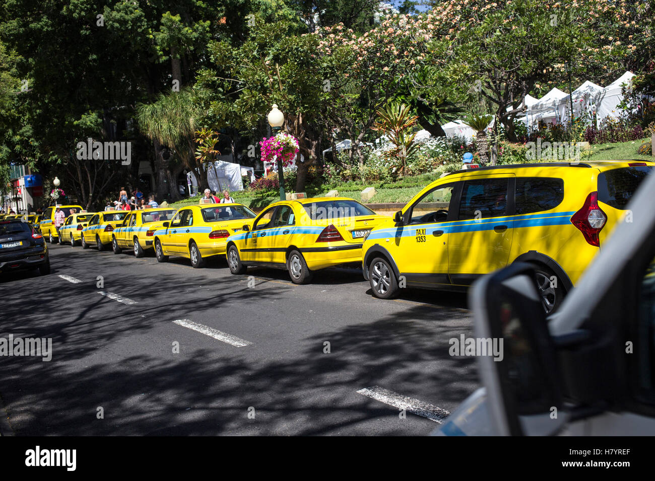 Taxis funchal madeira hi-res stock photography and images - Alamy