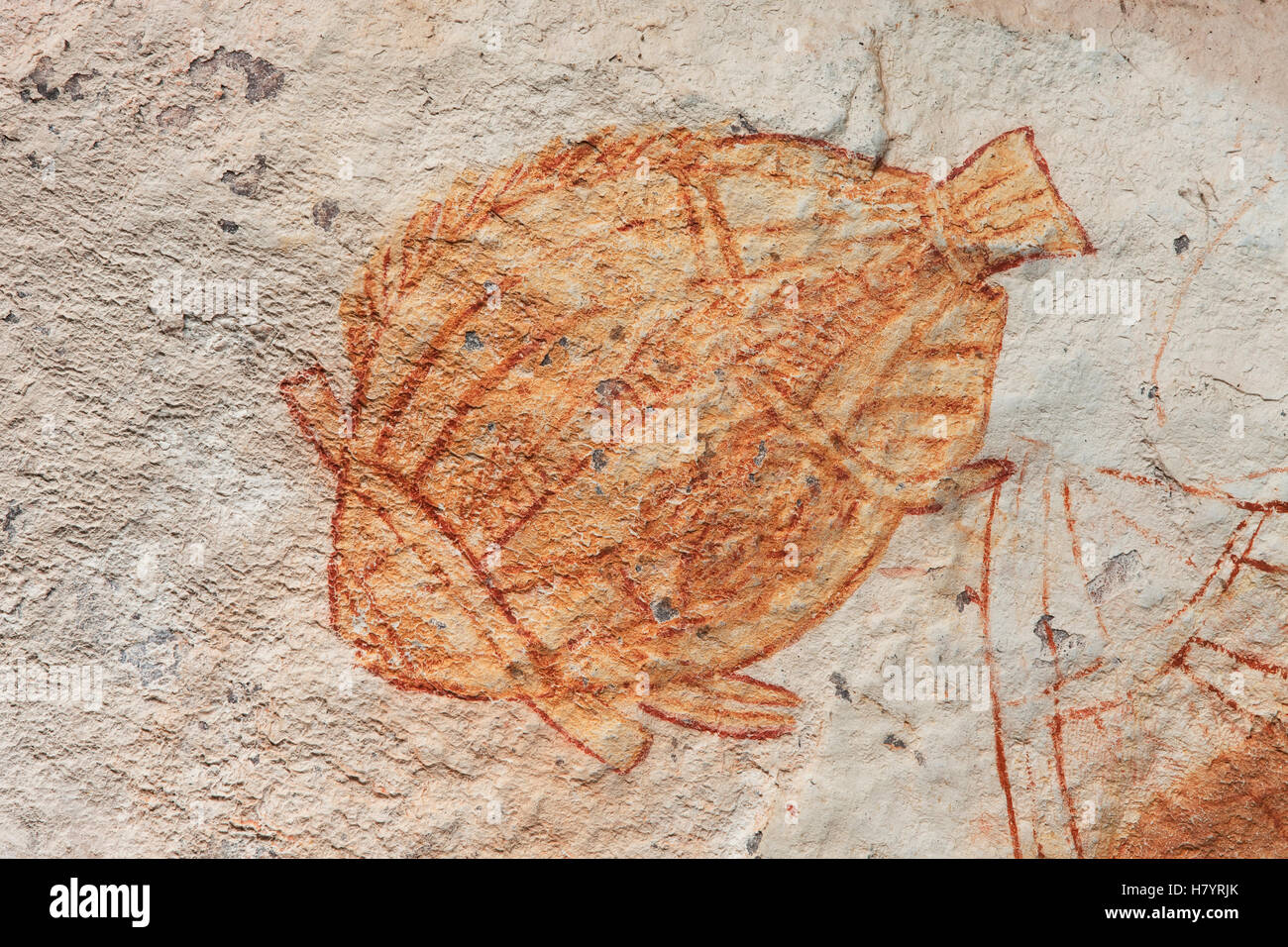 Aboriginal rock art of fish, Kakadu National Park, Australia Stock ...