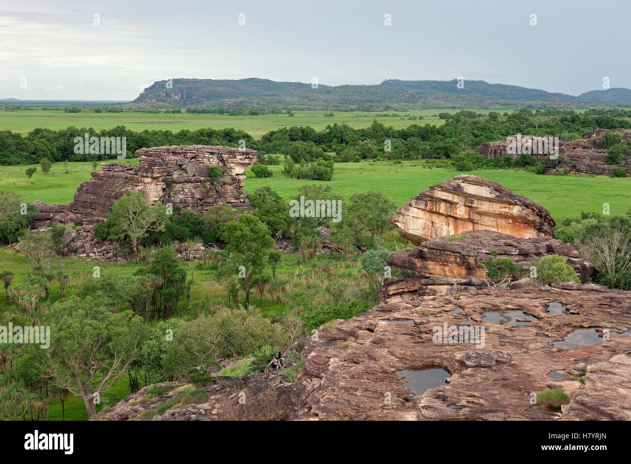 Sandstone plateau, Kakadu National Park, Australia Stock Photo - Alamy