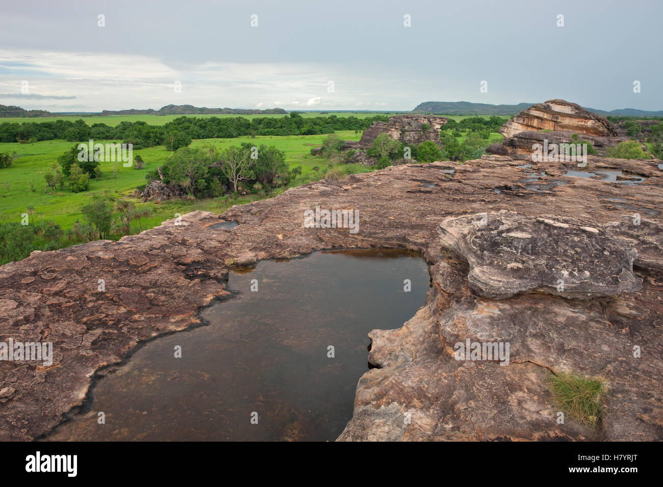 Sandstone plateau with water pool, Kakadu National Park, Australia ...