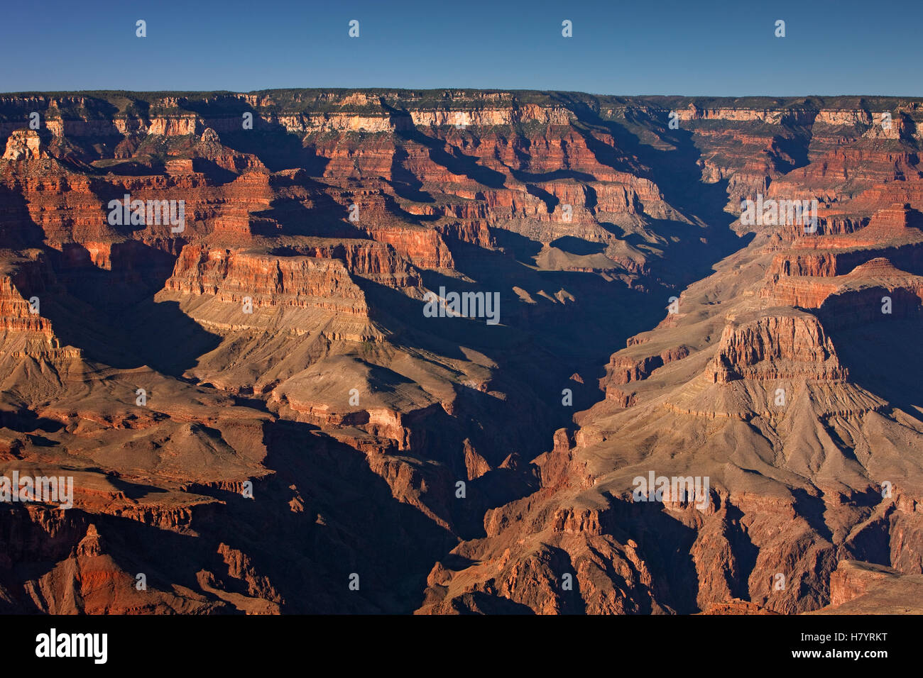 Grand Canyon, Grand Canyon National Park, Arizona Stock Photo - Alamy