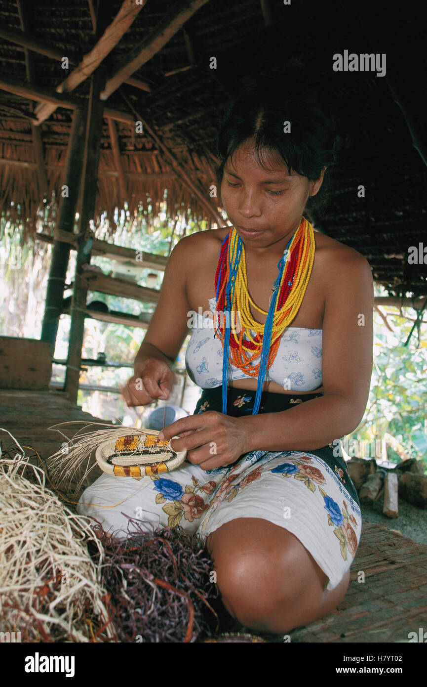 Embara Indian woman making basket using strong fibers from leaves of ...