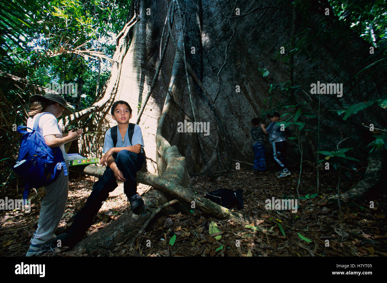 Silk Cotton Tree (Ceiba pentandra) with tourists, Barro Colorado Island ...
