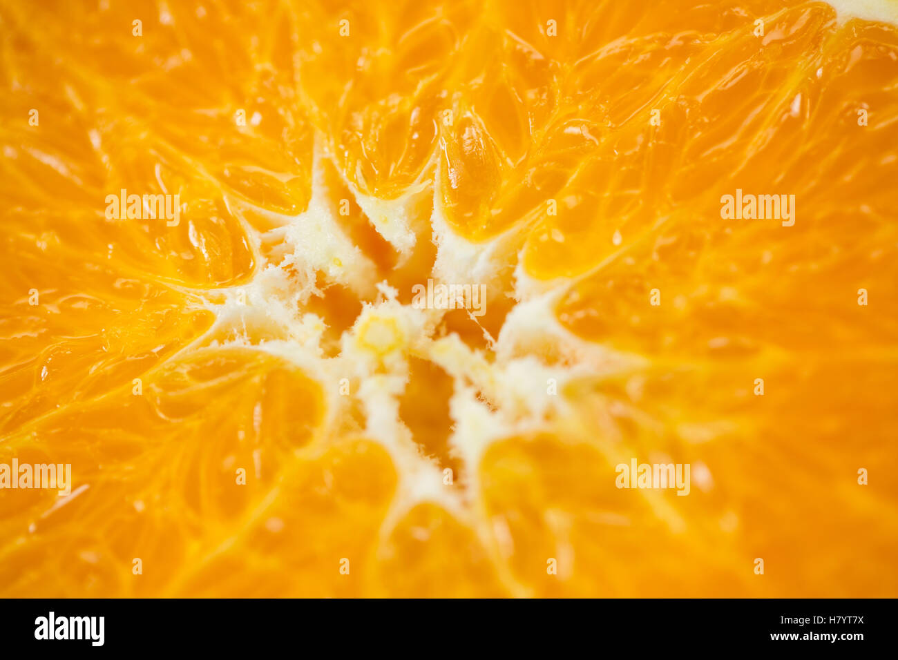Sliced up orange hi-res stock photography and images - Alamy