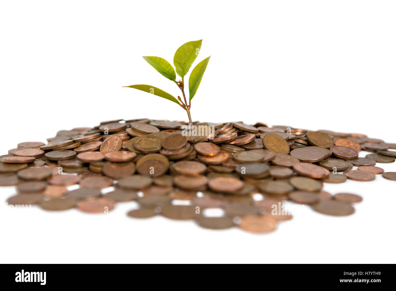 Plant growing from coins hi-res stock photography and images - Alamy