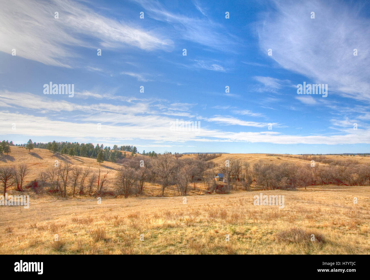 Old building that is in the middle of nowhere on a Wyoming ranch Stock ...