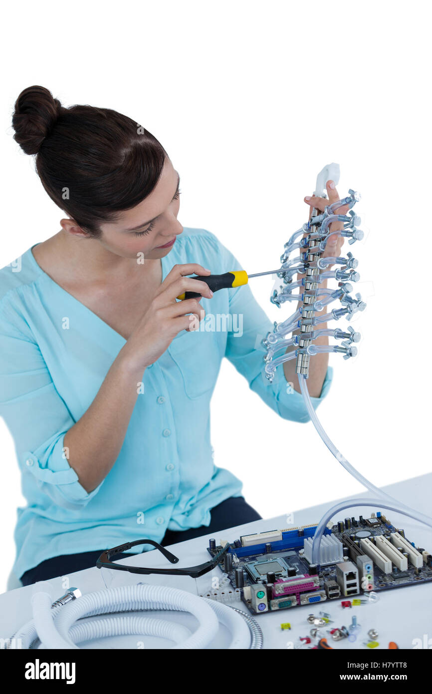 Female computer engineer repairing computer motherboard Stock Photo - Alamy
