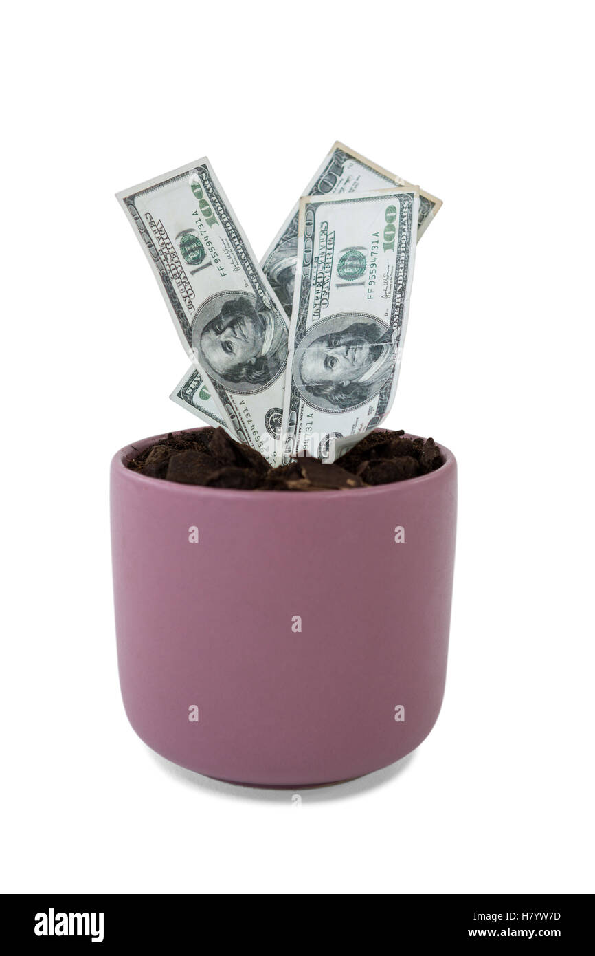 Money plant pot hi-res stock photography and images - Alamy