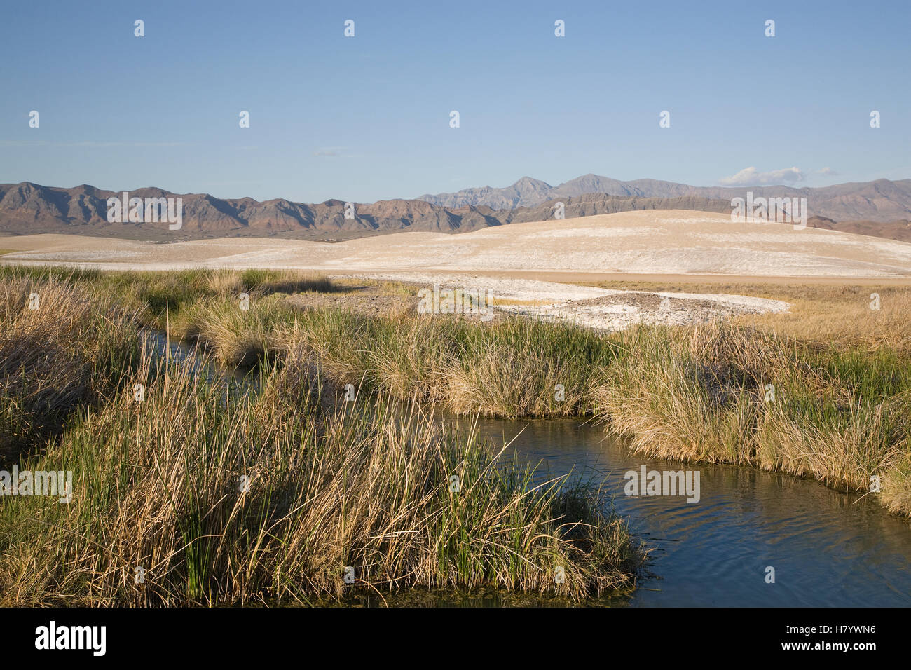 Natural hot springs at Tecopa, Amargosa Desert, California Stock Photo ...