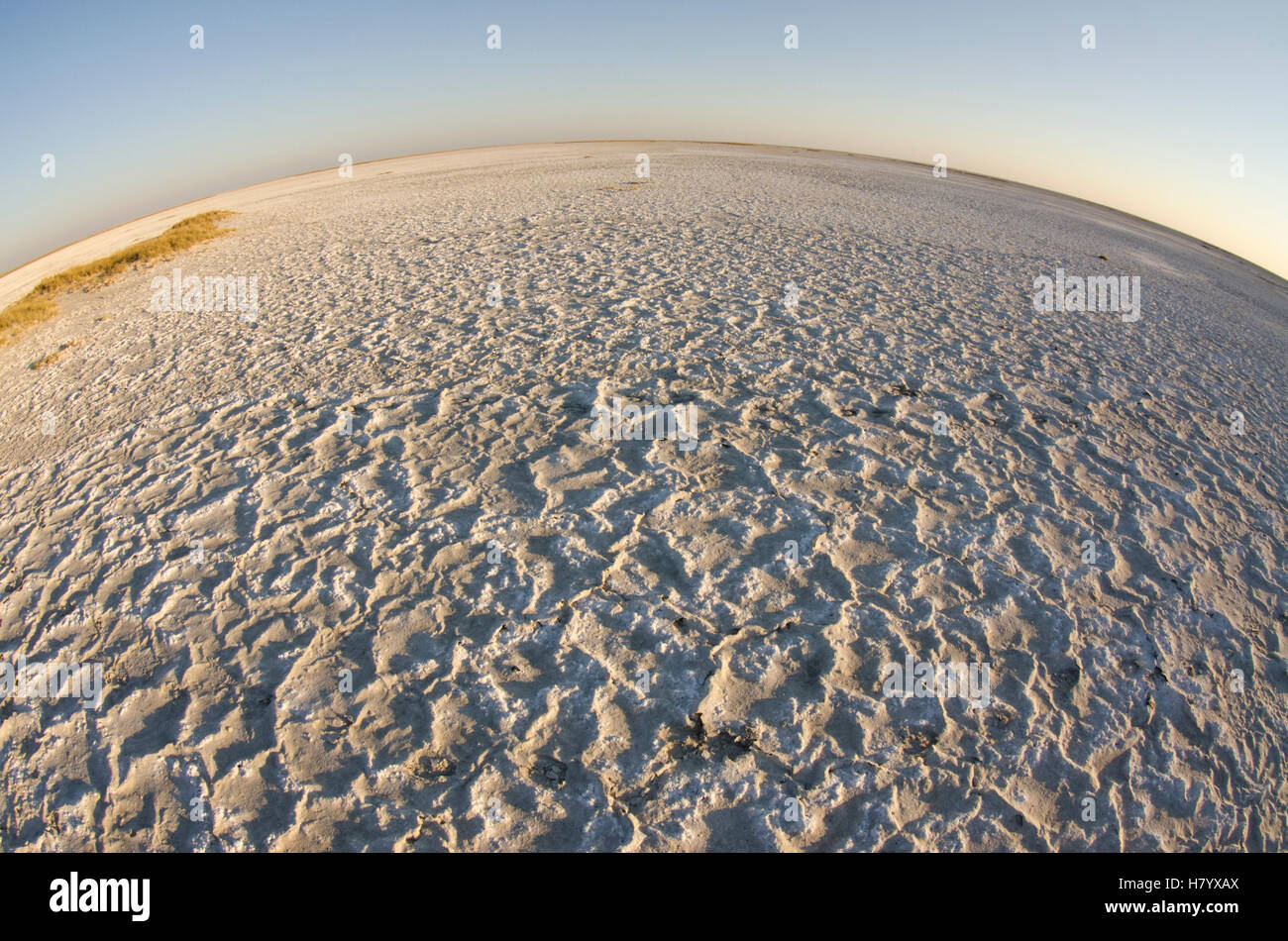 Salt Pan, Makgadikgadi Pans, Kalahari Desert, Botswana Stock Photo - Alamy