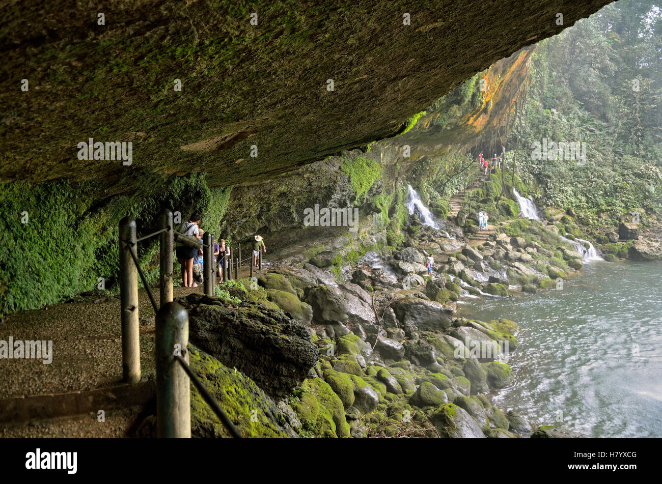 Trail behind the Cascada Misol Ha in Palenque, Chiapas, Mexico Stock ...