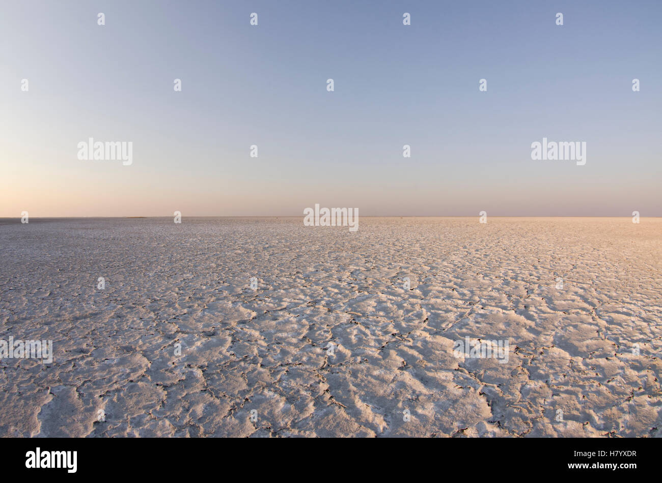 Salt Pan, Makgadikgadi Pans, Kalahari Desert, Botswana Stock Photo - Alamy