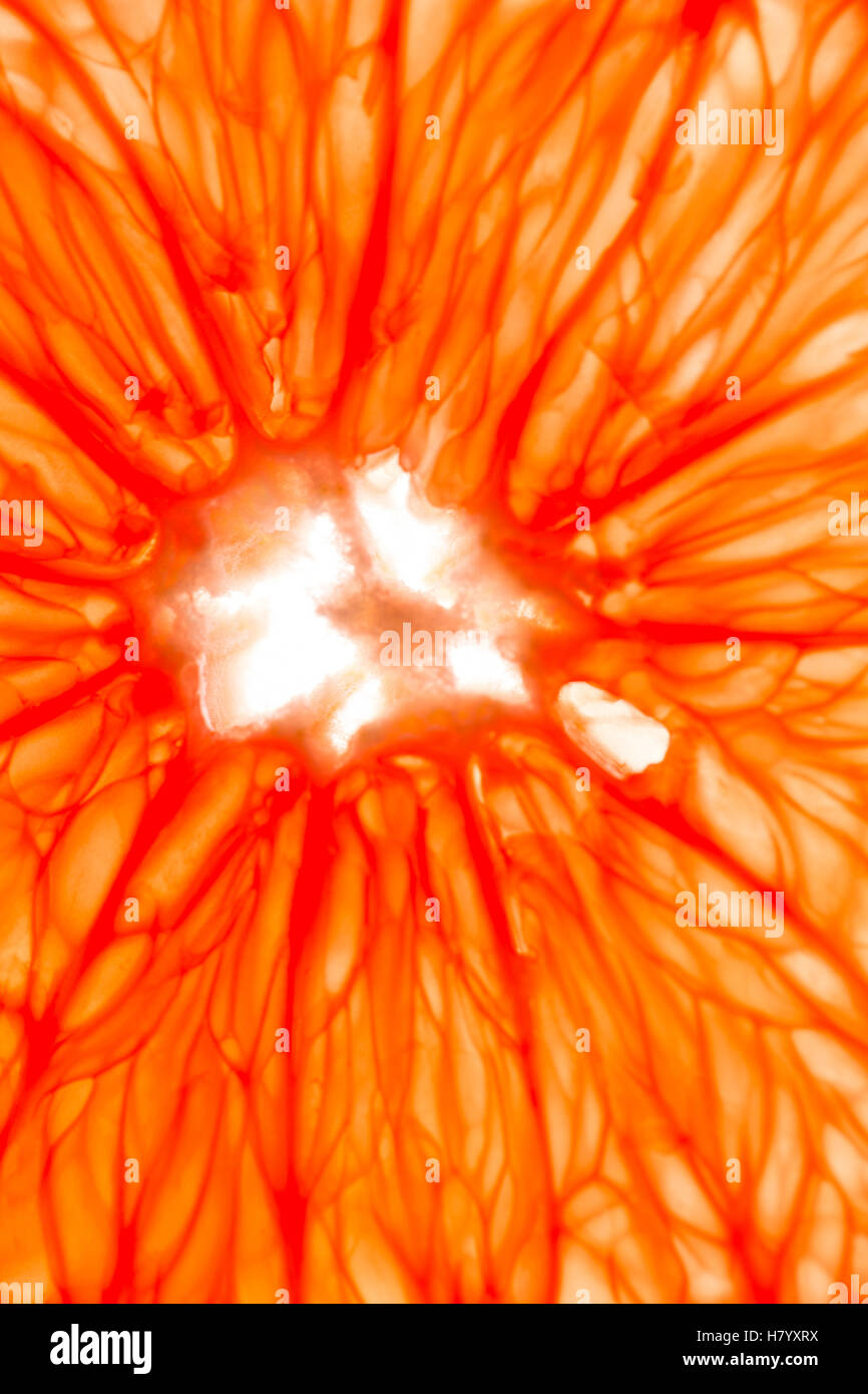 Close up blood hi-res stock photography and images - Alamy