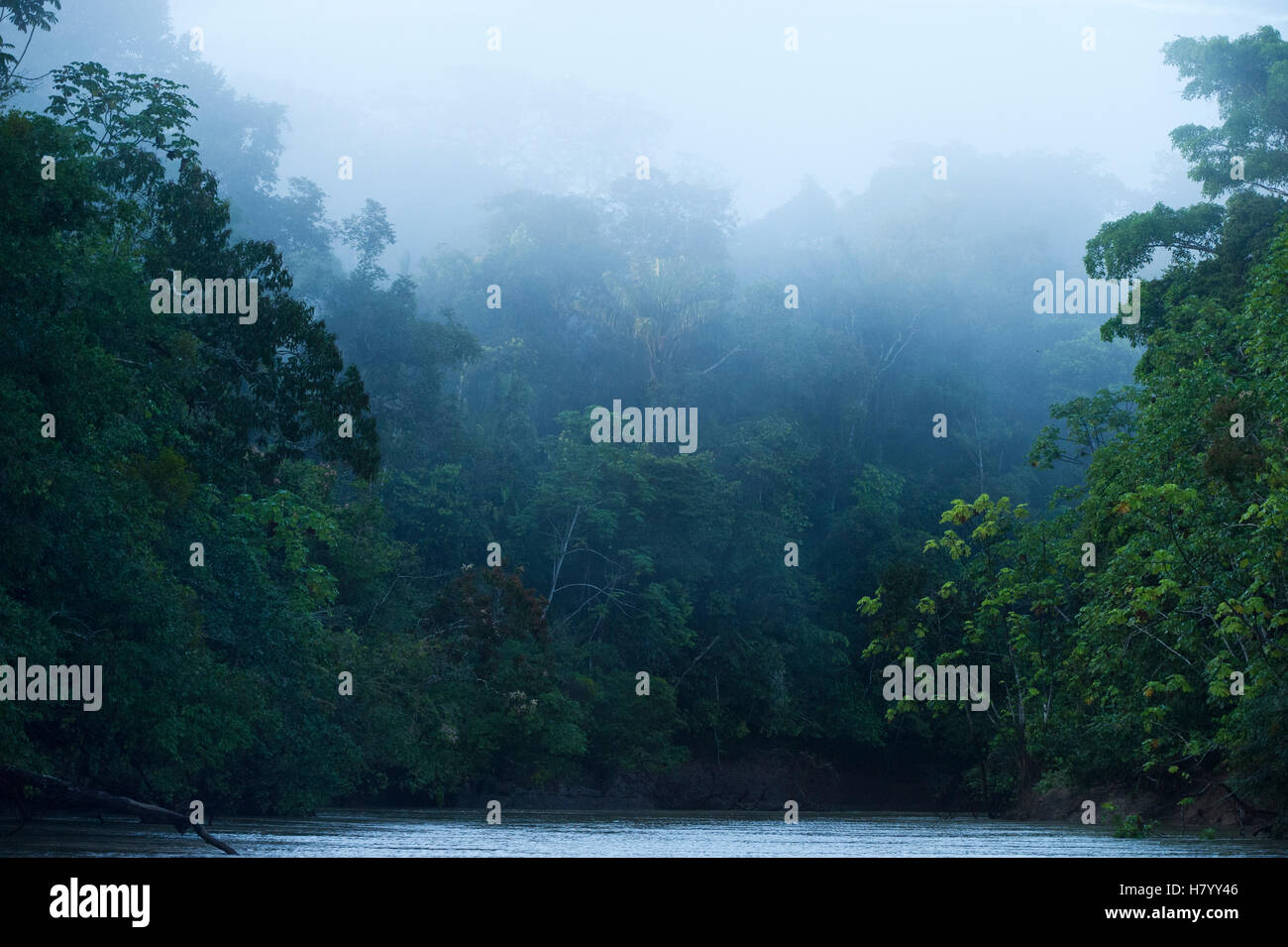 Rainforest and Tiputini River, Yasuni National Park, Amazon Rainforest ...