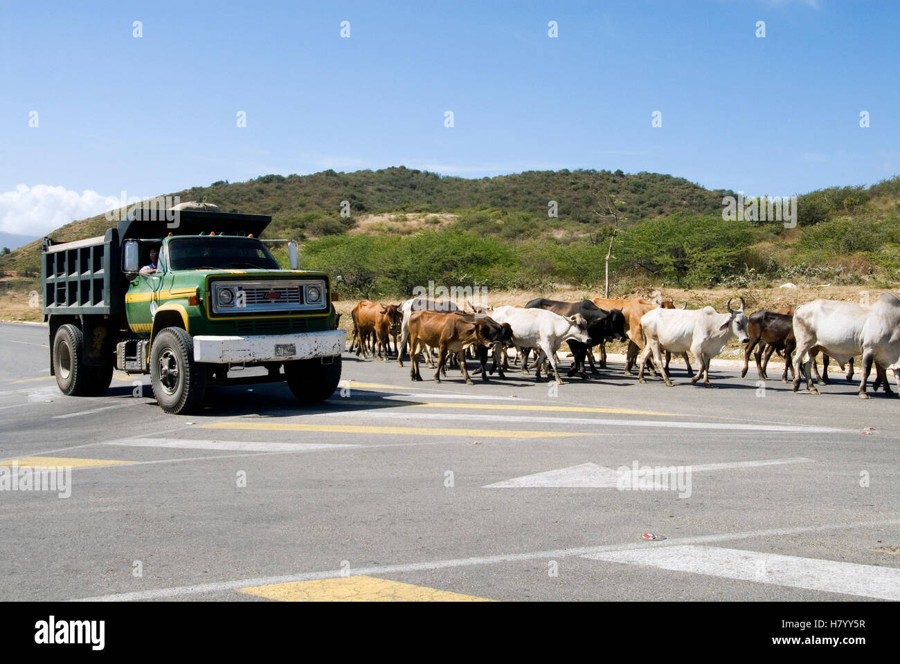 Cattle truck south america hi-res stock photography and images - Alamy