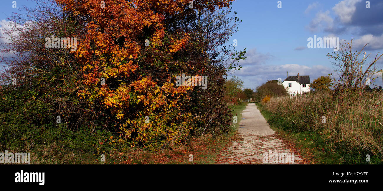 cottage, country, english, house, garden, village, old, england, home ...