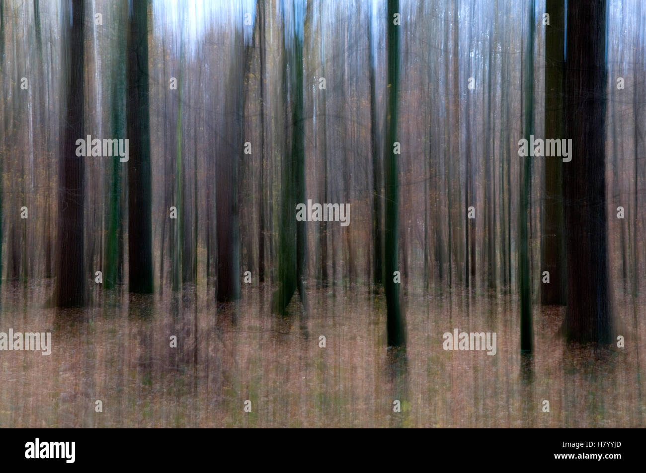 Kurler busch hi-res stock photography and images - Alamy