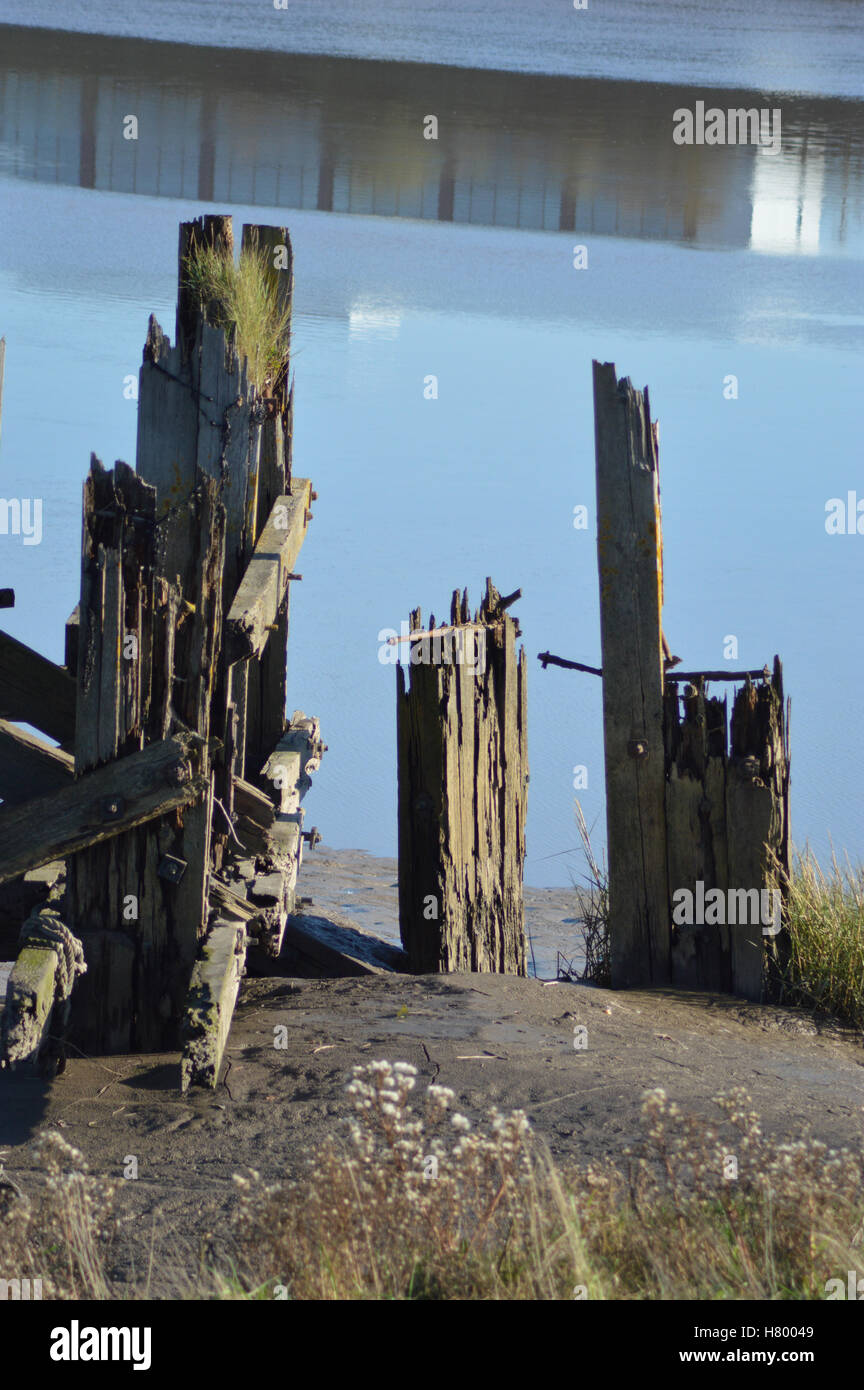 Rotten timber hi-res stock photography and images - Alamy