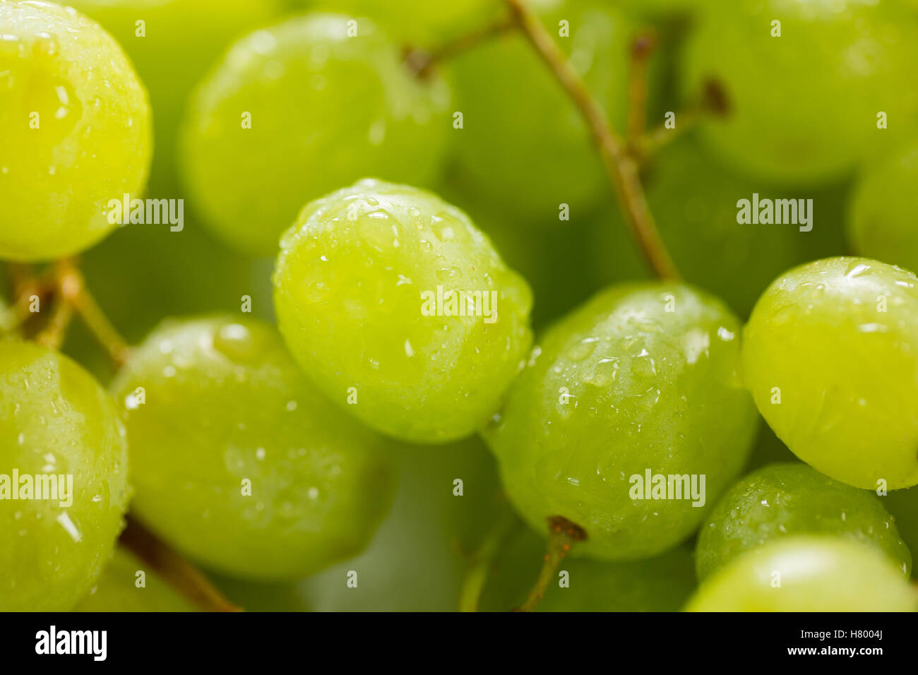 Full frame of grapes Stock Photo - Alamy