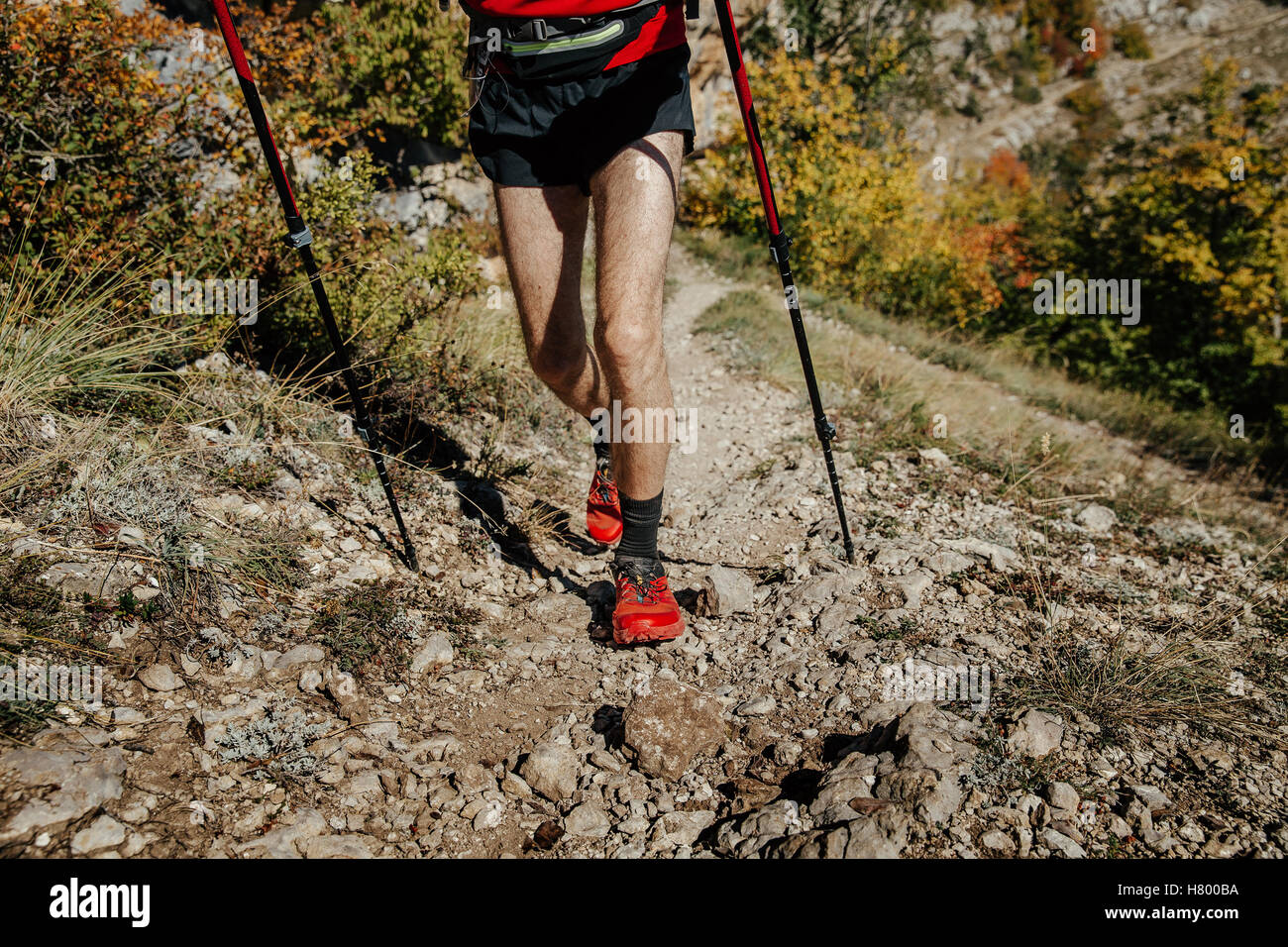 closeup feet runner athlete and walking sticks on a mountain trail ...