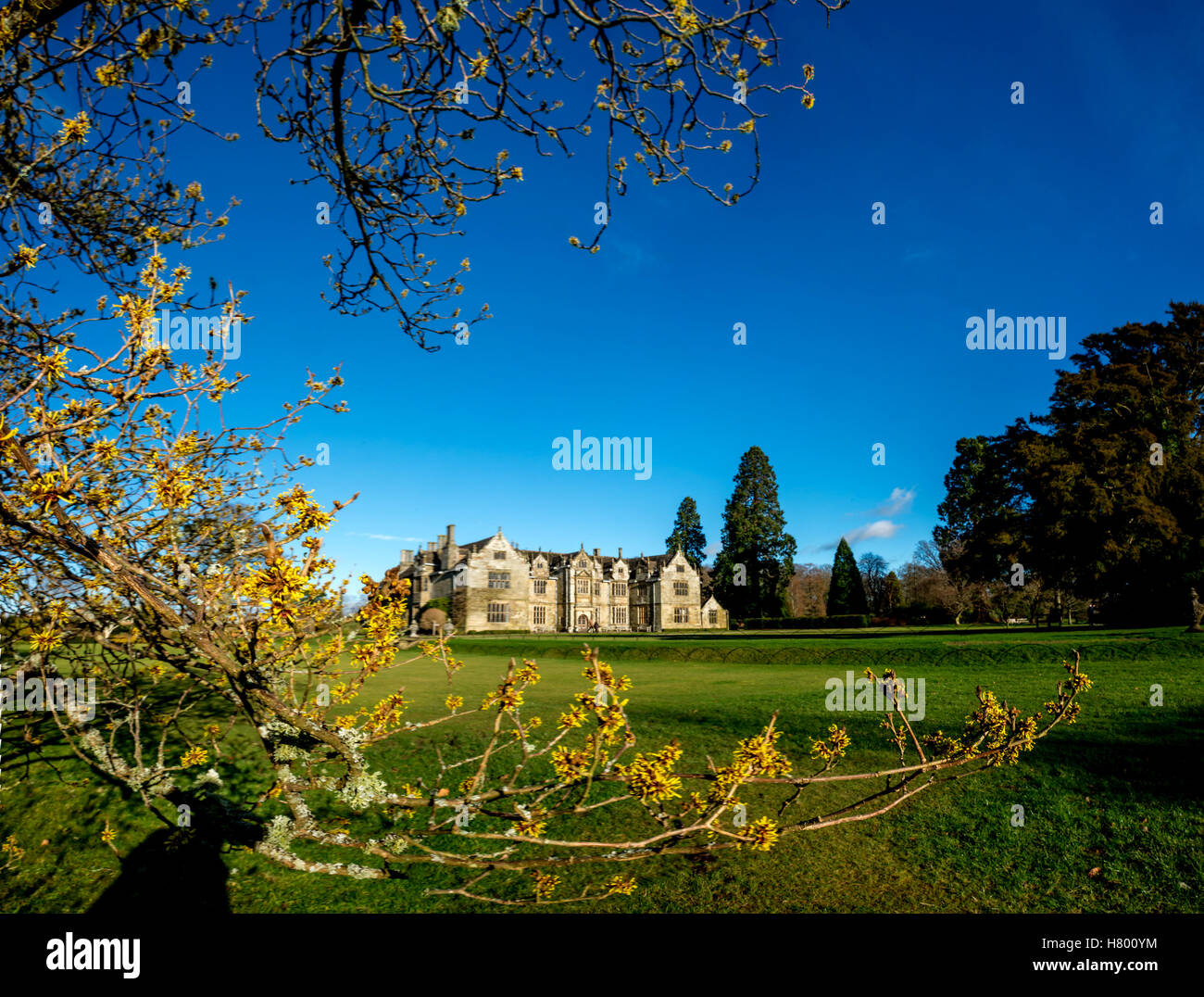 Wakehurst Place in West Sussex Stock Photo - Alamy