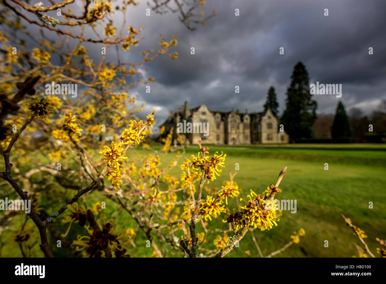 Wakehurst Place in West Sussex Stock Photo - Alamy