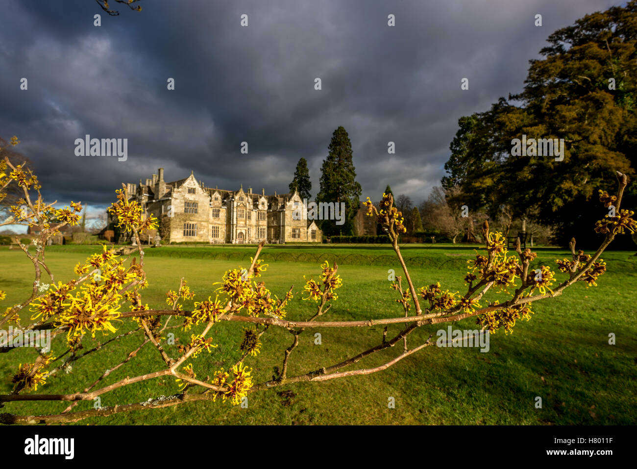 Wakehurst Place in West Sussex Stock Photo - Alamy