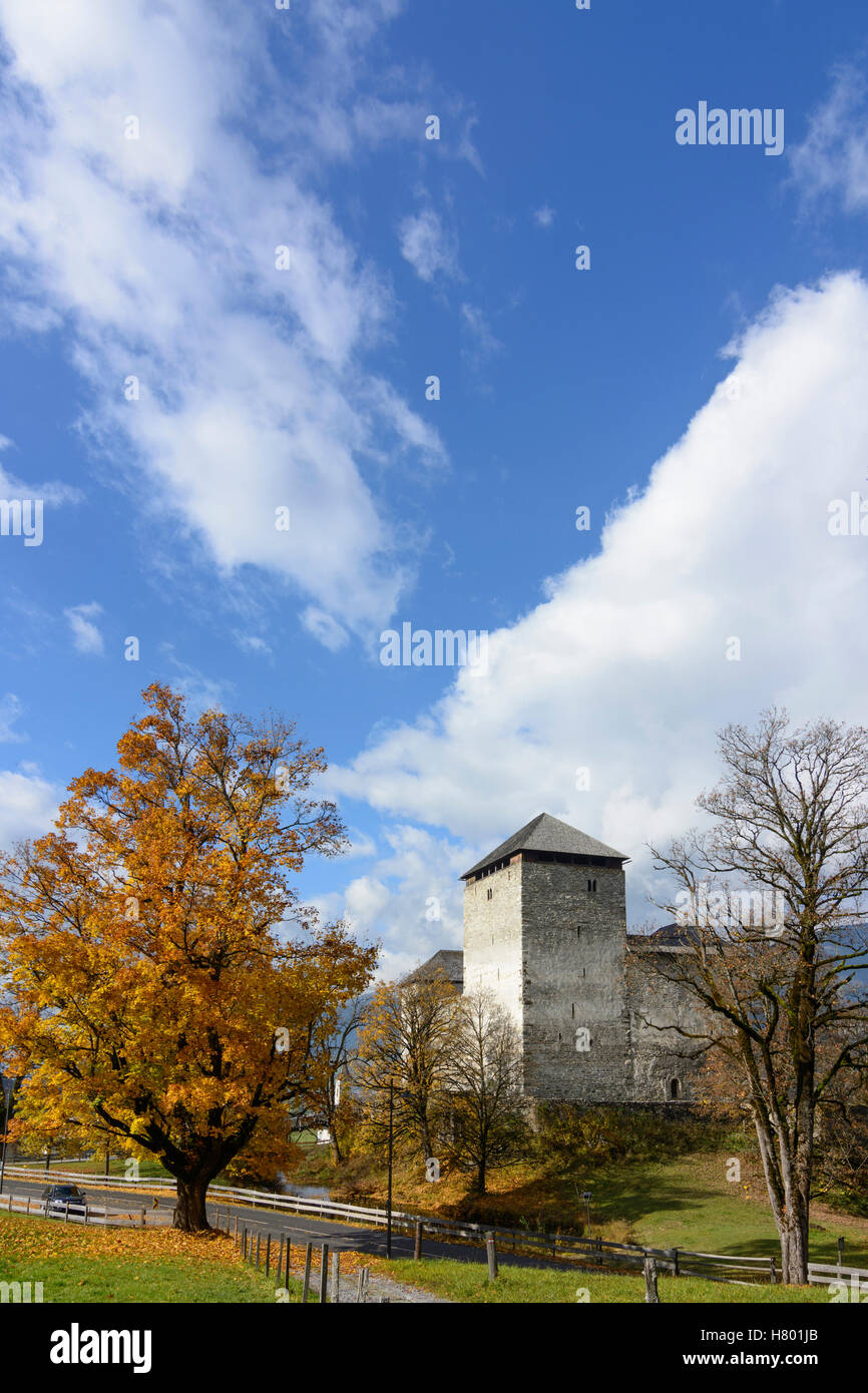 Kaprun: Kaprun Castle, maple trees, Pinzgau, Salzburg, Austria Stock ...