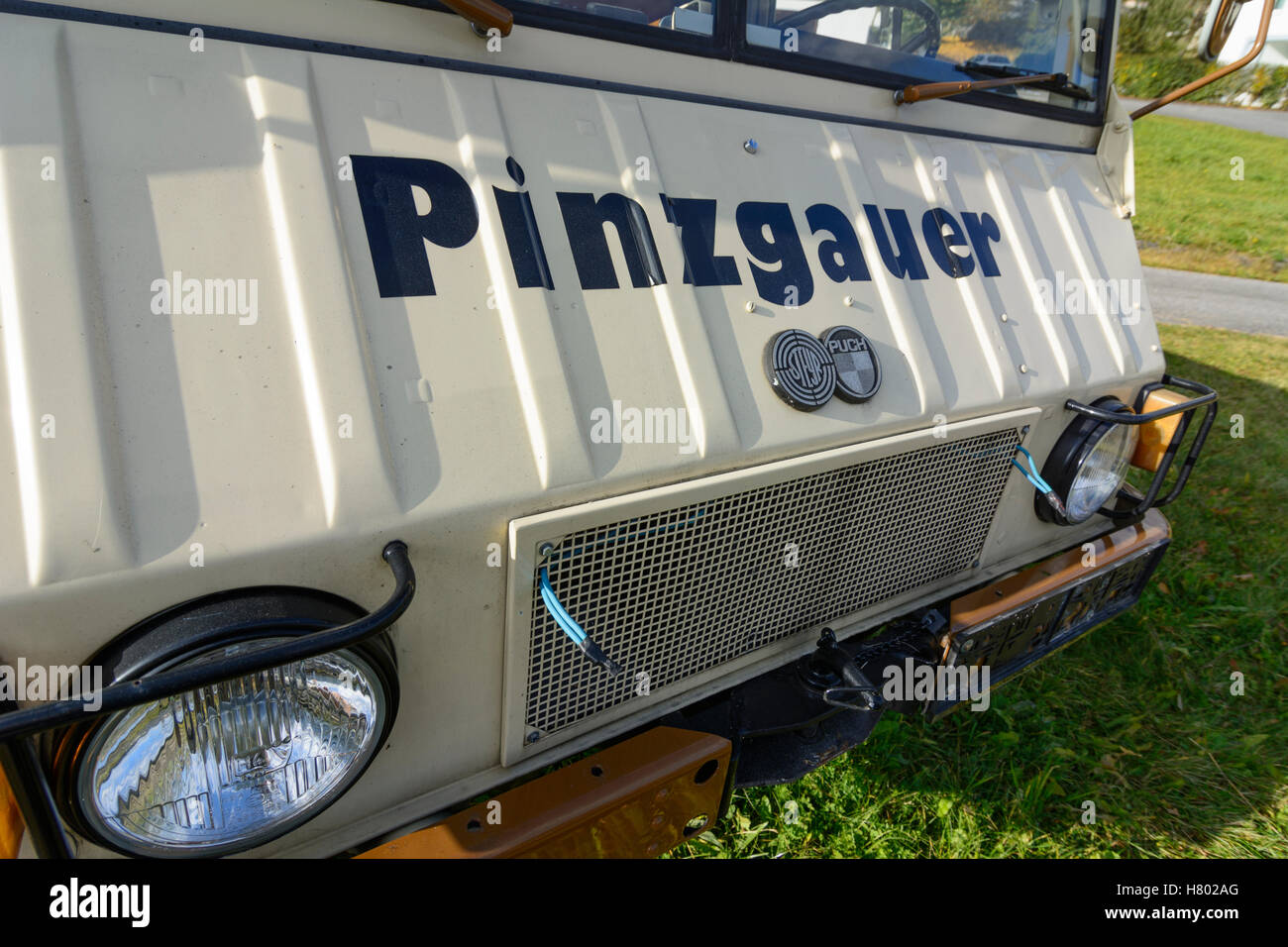 Piesendorf: truck Steyr-Puch Pinzgauer in Pinzgau, Pinzgau, Salzburg ...