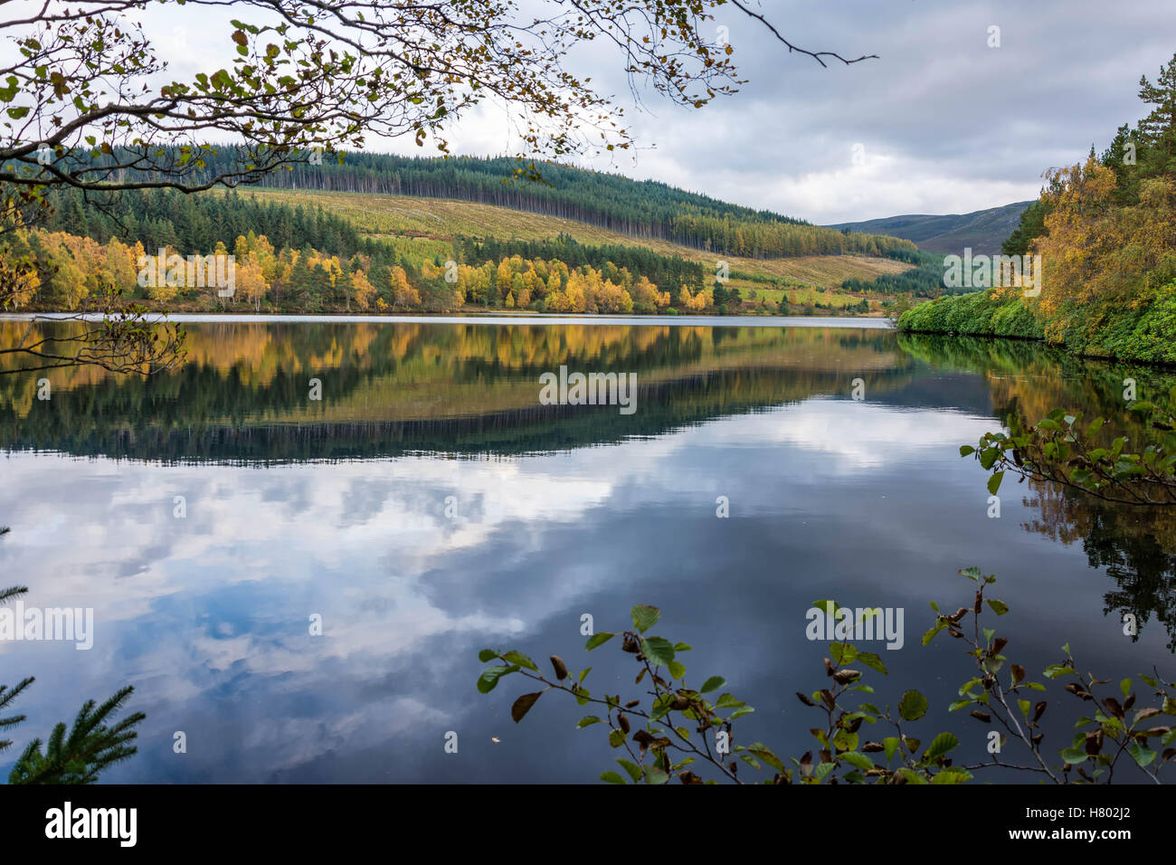 Strathnairn hi-res stock photography and images - Alamy