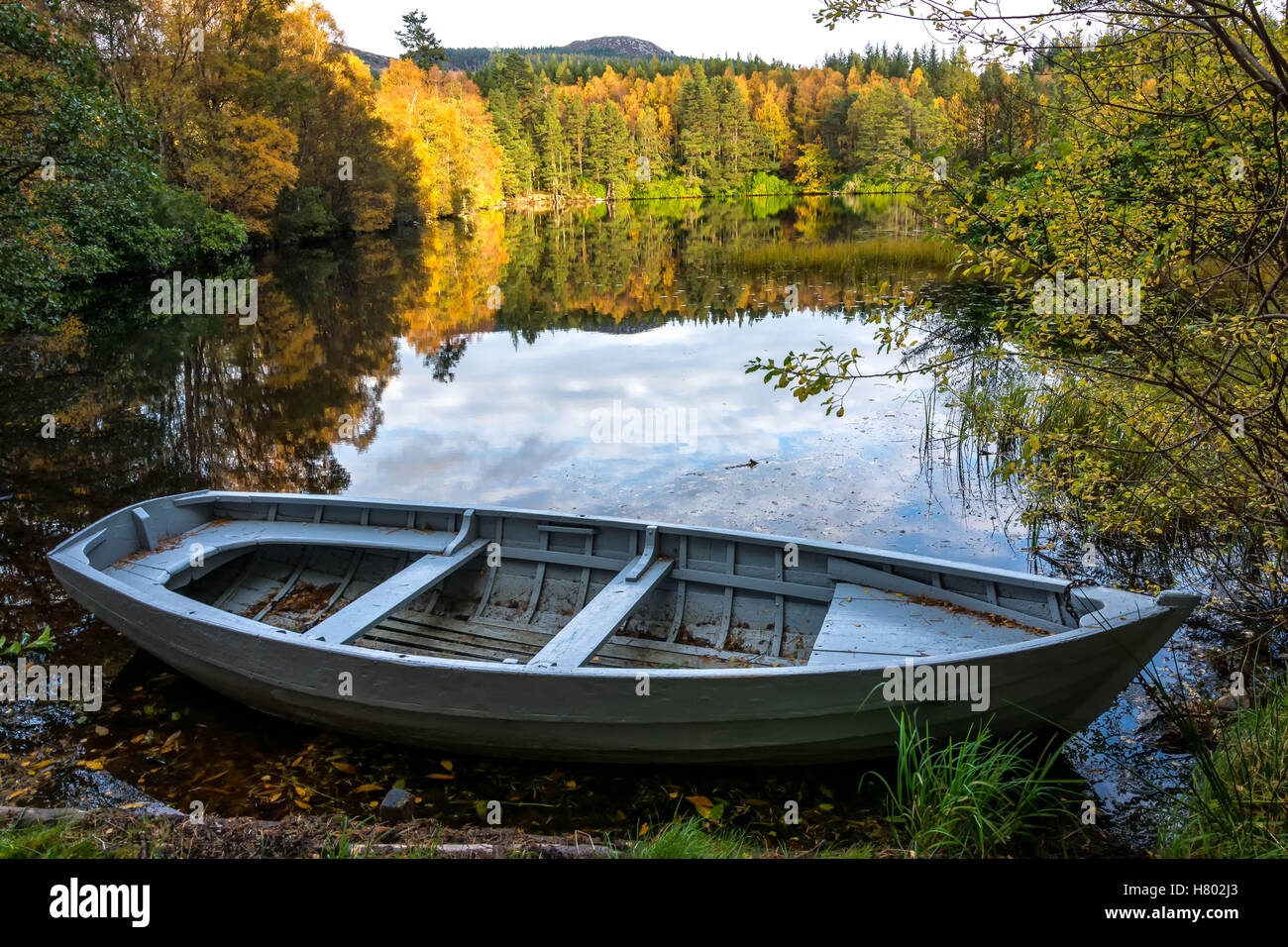 Strathnairn High Resolution Stock Photography and Images - Alamy
