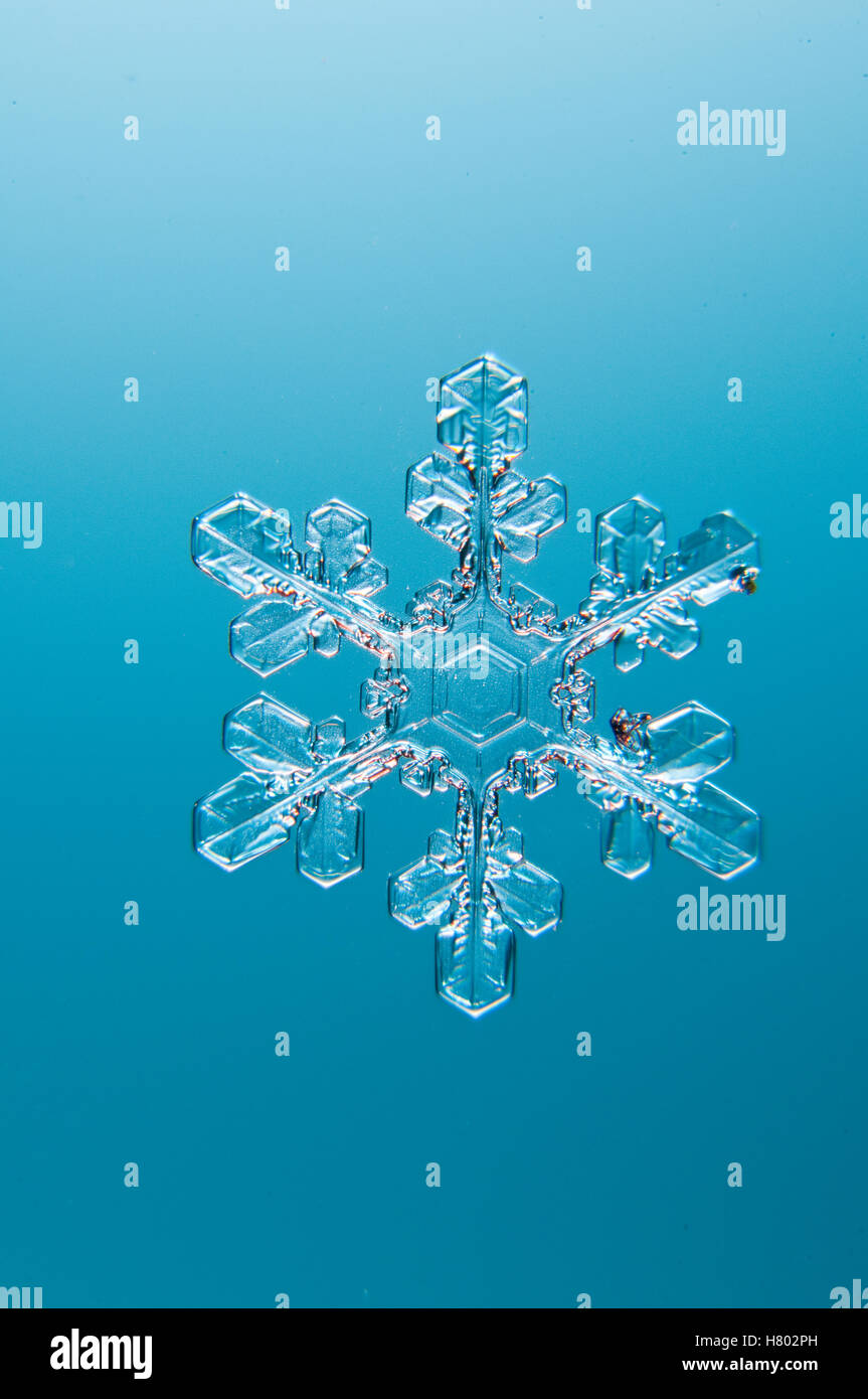 Snowflake seen through microscope Stock Photo - Alamy