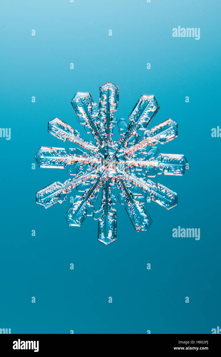 Snowflake seen through microscope Stock Photo - Alamy
