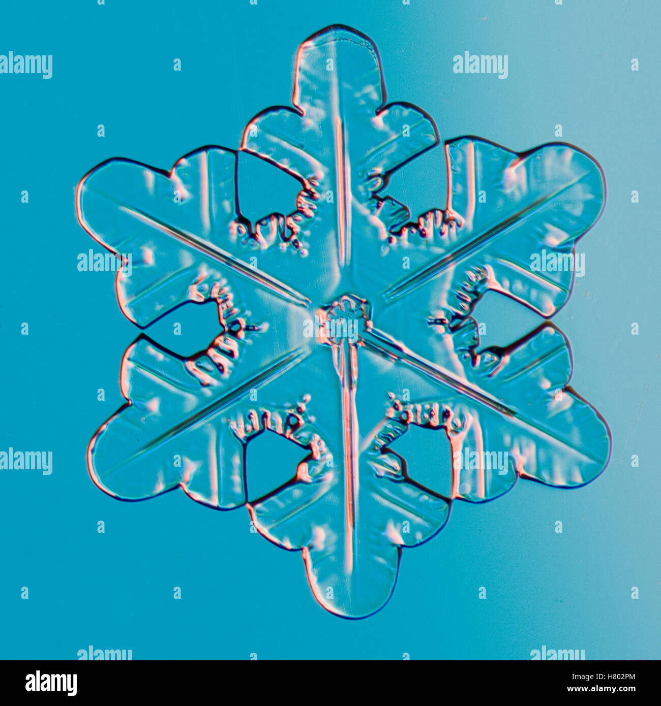 Snowflake seen through microscope Stock Photo - Alamy