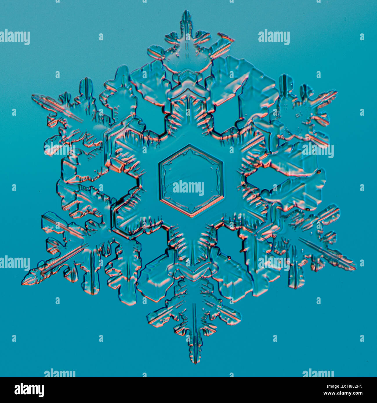 Snowflake seen through microscope Stock Photo - Alamy