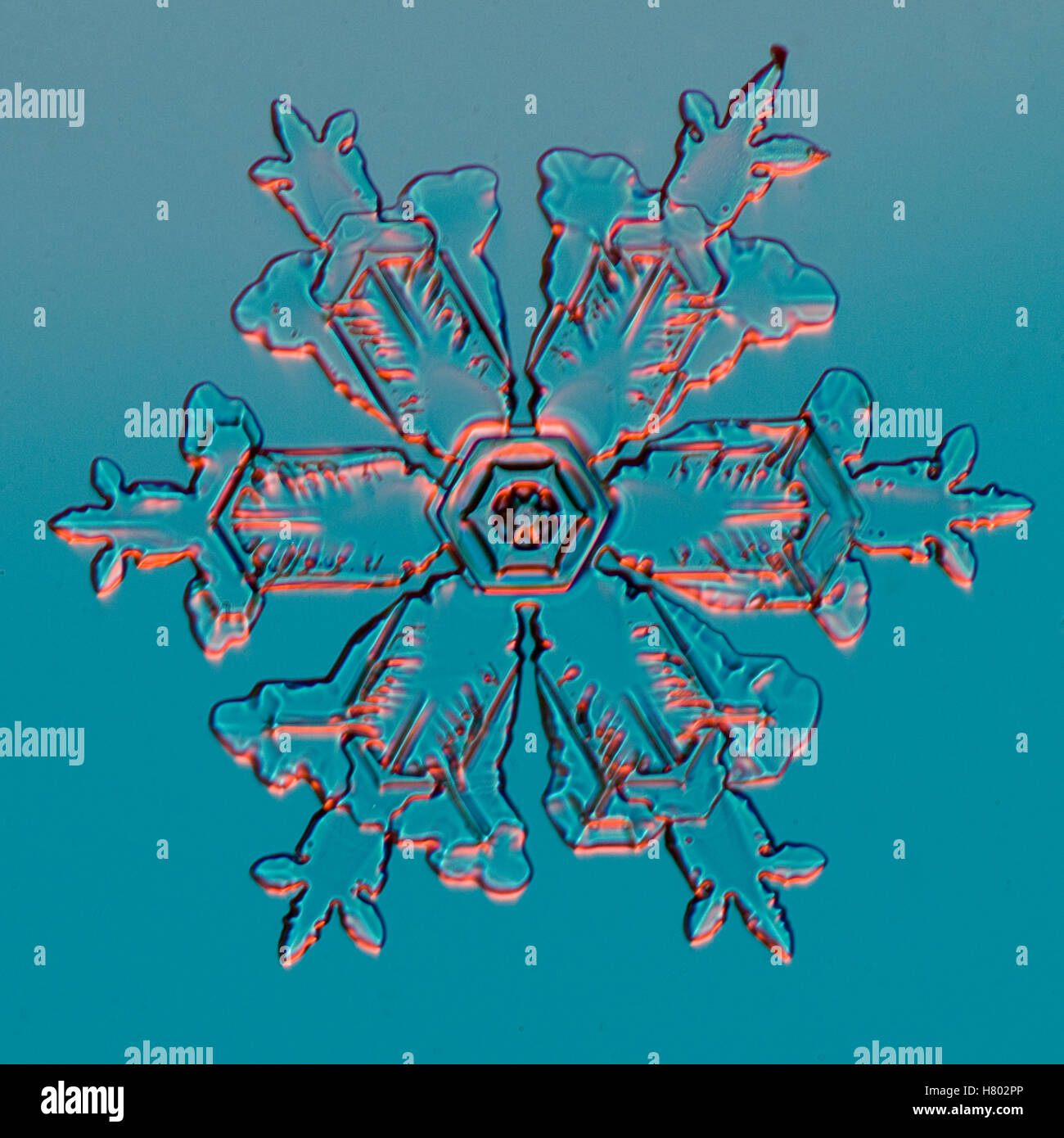 Snowflake seen through microscope Stock Photo - Alamy